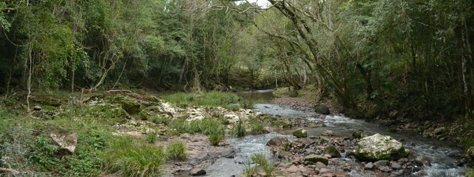 Boss – Timothy Boudreau